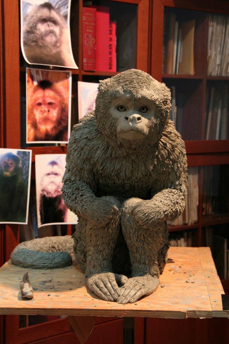 Benjamin The Monkey - Allen Hirsch